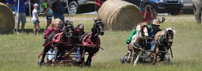 Whiskey Ridge Ranch in Malvern, AR